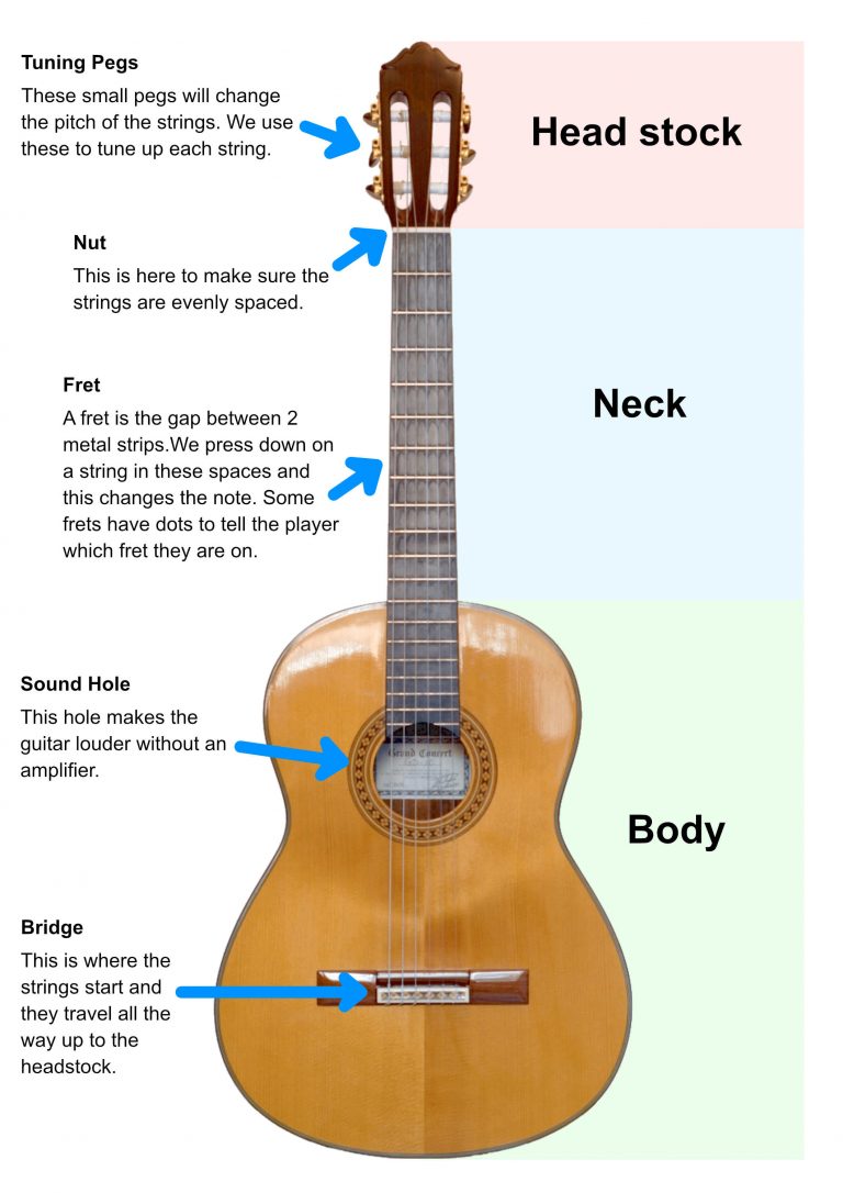 1 Guitar Anatomy